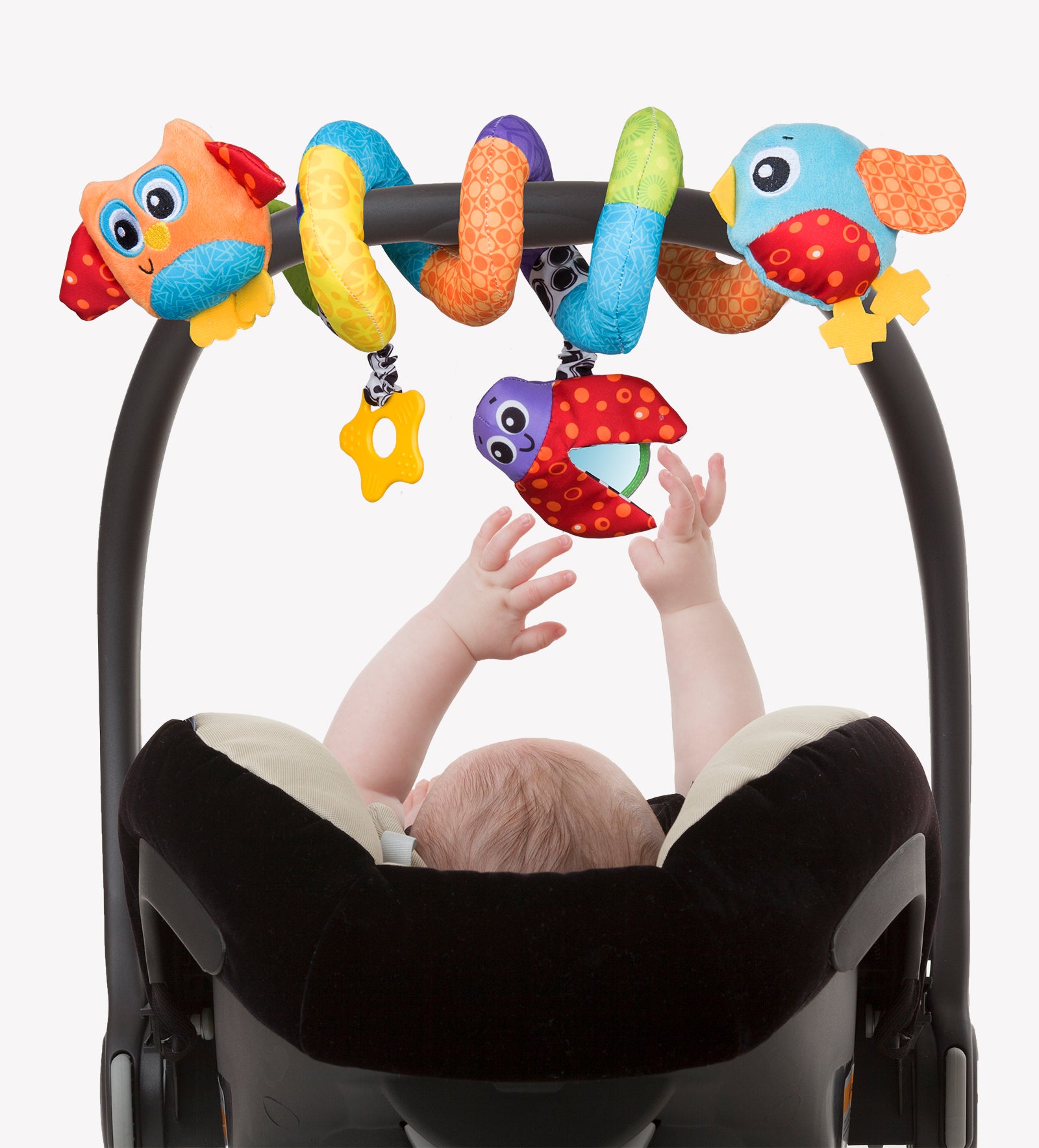 Who's in the Tree - Twirly Whirly – For Little Kiwis